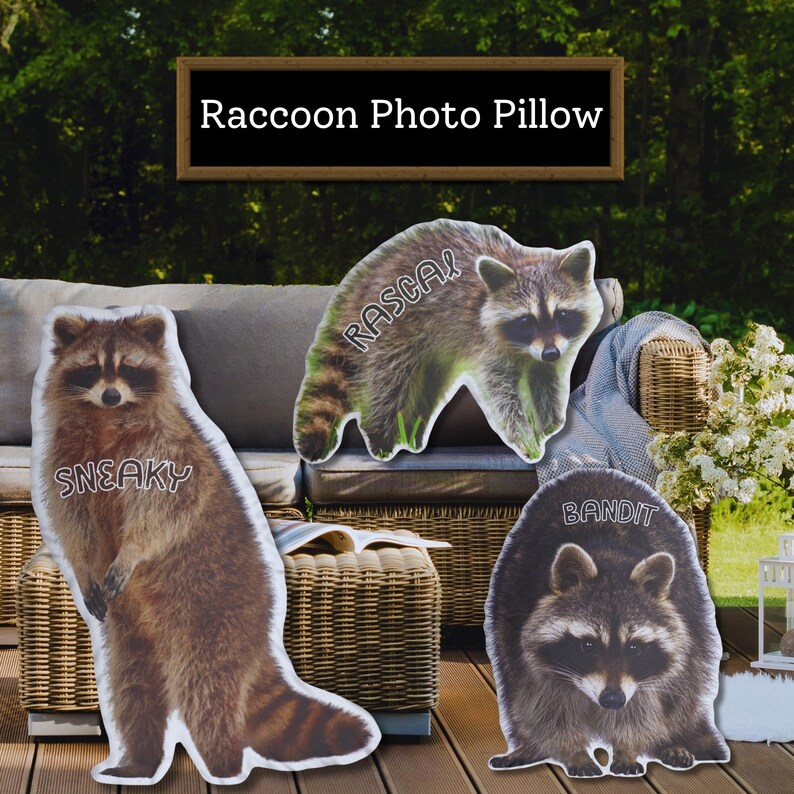 Raccoon Lover Personalized Plush Photo Pillow, Emotional Support ...