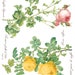 Rose Botanical Transfer by IOD - Etsy