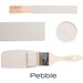 Pebble Special Release Collection - Etsy
