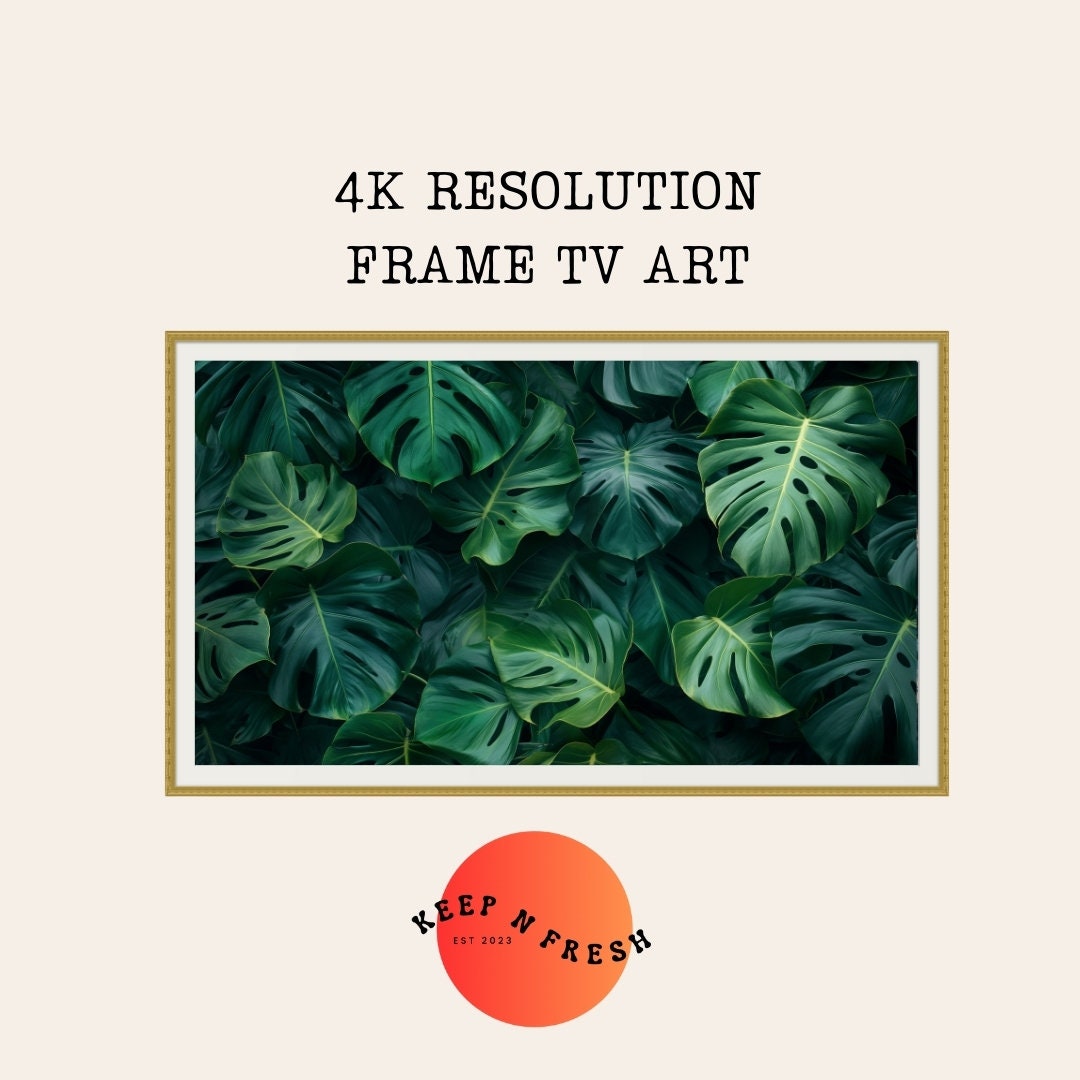 Monstera Plant Wallpaper Design, Art for Samsung TV Frame, Digital ...