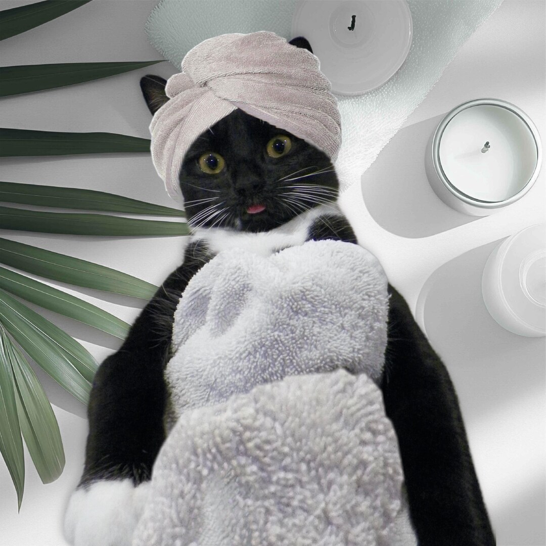 Spa Themed Digital Download Pet Funny Bathroom Art Printable Cat Art ...