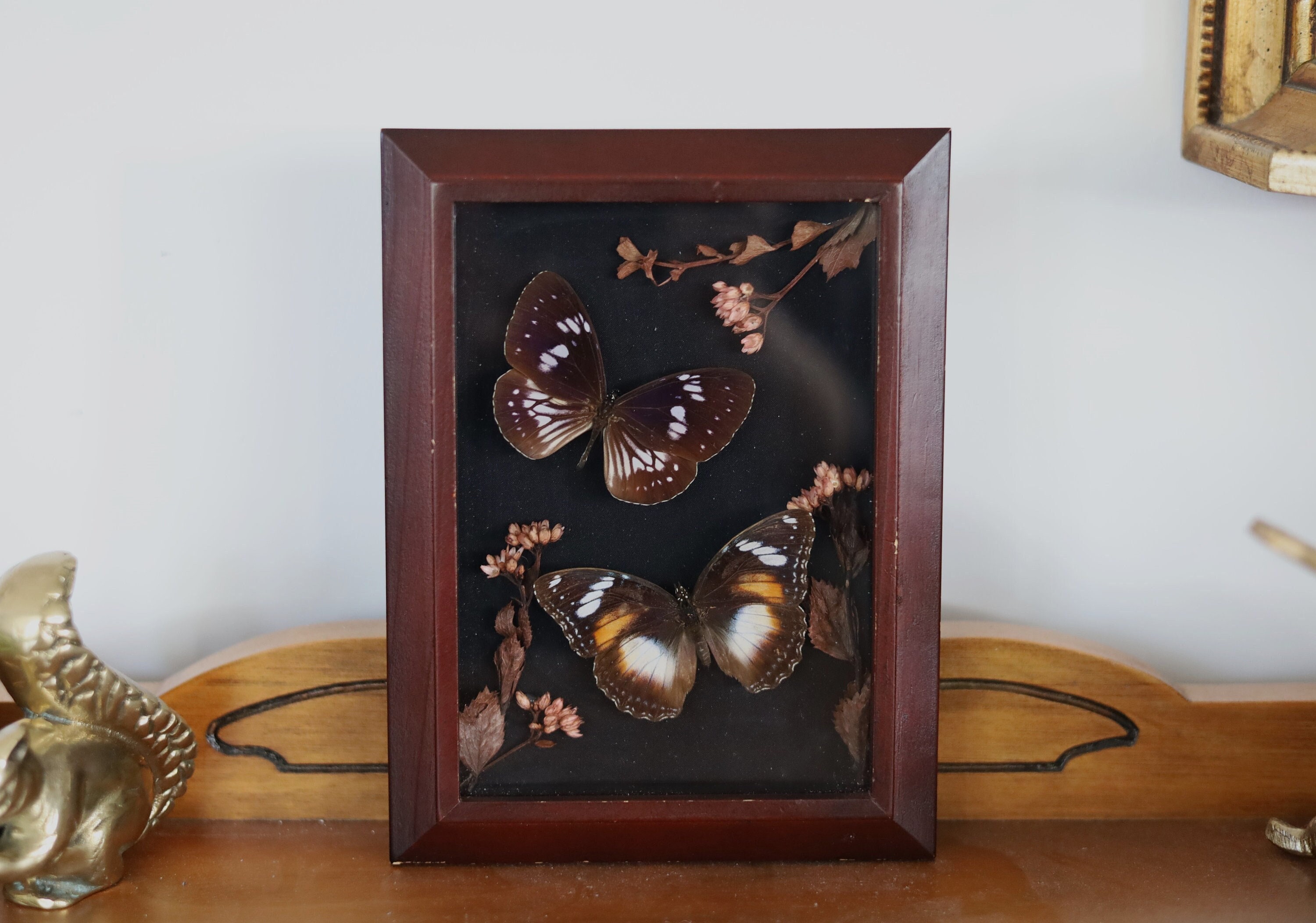 Two Real Specimen Butterfly Encased Wood Frame Preserved Floral Vintage ...