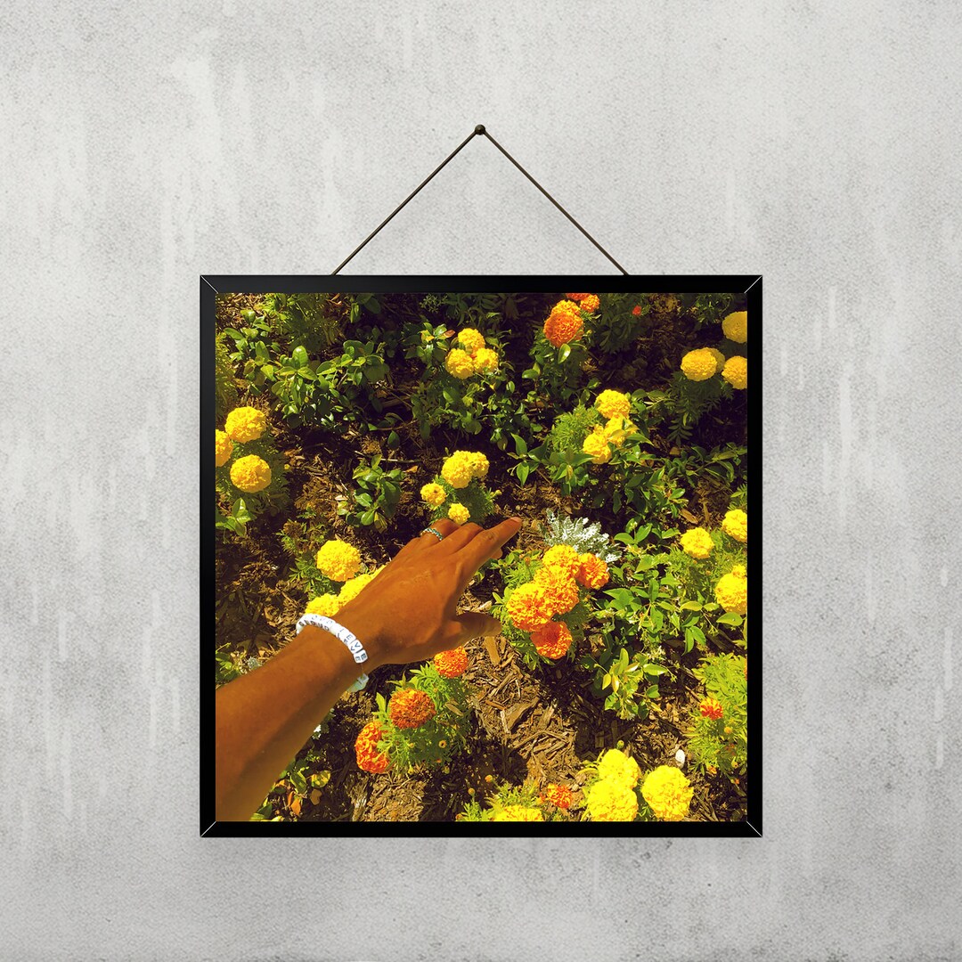 Tyler, the Creator Album Cover Poster-peach Fuzz Single album Print ...