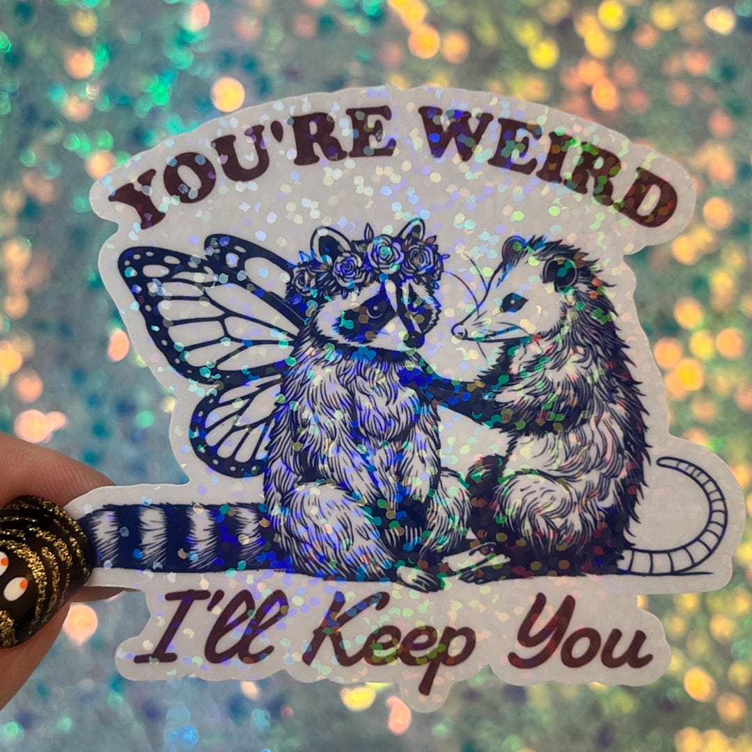You’re Weird I’ll Keep You Possum Raccoon Silly Holographic Sticker ...