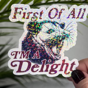 First of All I’m a Delight Possum Silly Holographic Sticker Mental ...