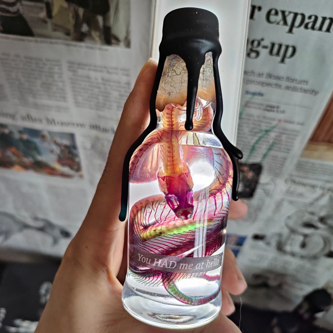 Dyed Snake Skeleton Specimen,wax-sealed, Long-lasting Preservation ...