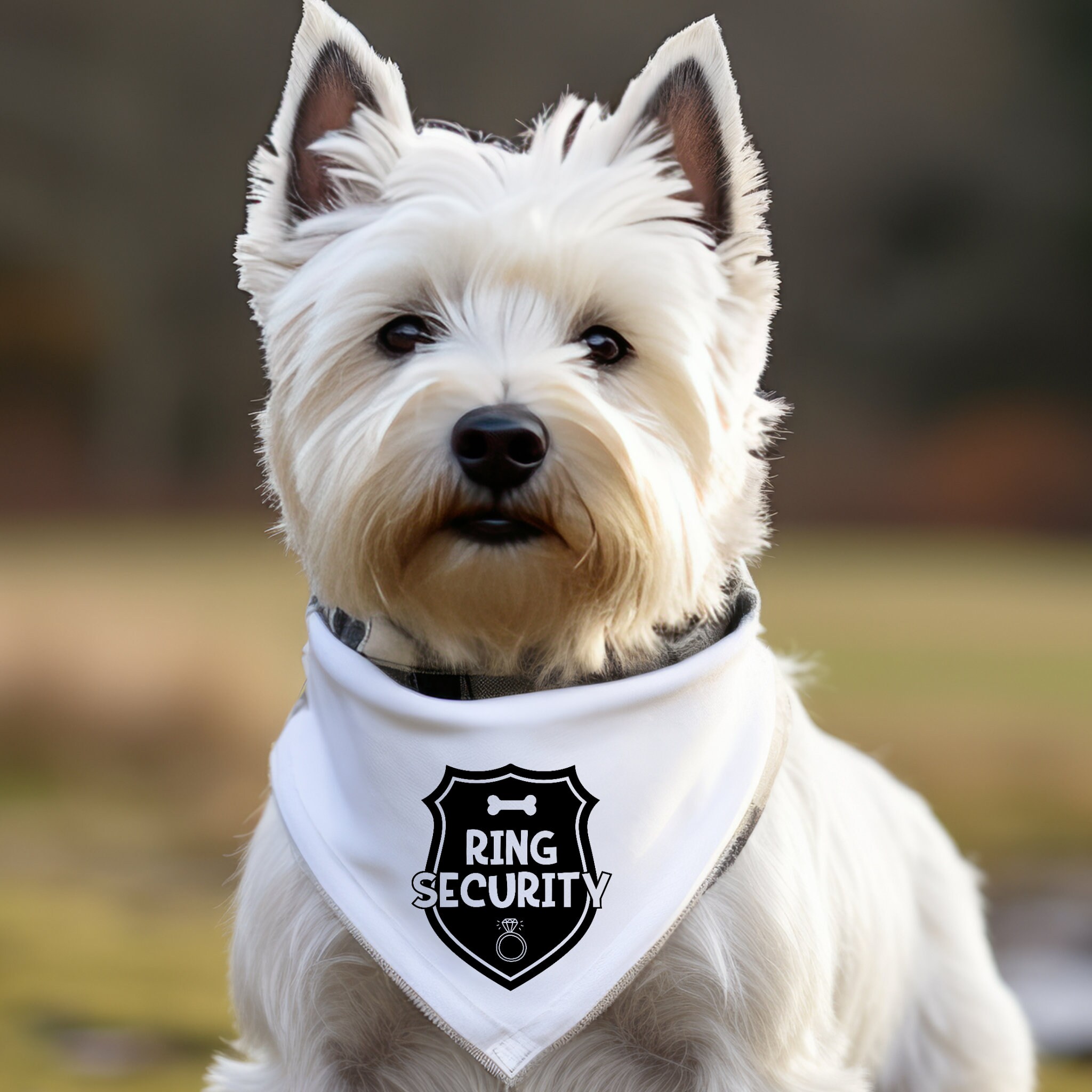 Wedding Dog Bandana Bundle SVG, Dog Wedding, Dog Bandana, Dog Wedding ...