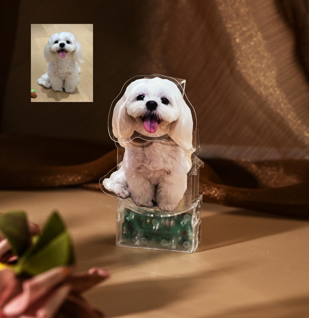 Custom Pet Acrylic Standee From Photo, Acrylic Photo Decorations ...