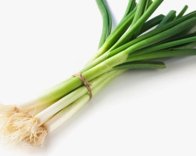 Dae-pa Korean Large Green Onion Seeds 韓國大蔥 100 Seeds - Etsy