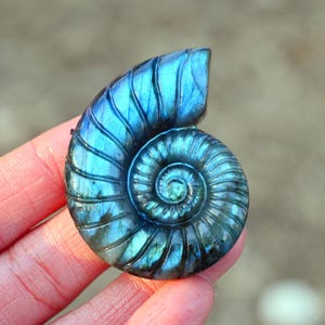 spiral stone