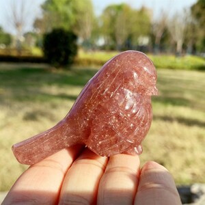 2.4'' Natural Strawberry Quartz Bird,quartz Crystal,crystal Bird ...