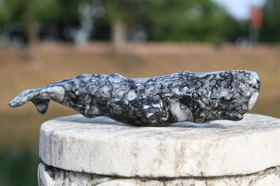 6'' Natural Hand Carved Shell Stone Whale ,quartz Crystal,crystal Whale ...
