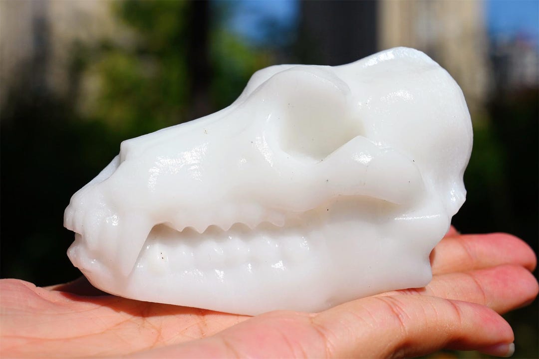 3.6'' Natural Hand Carved White Jade Wolf Head,quartz Crystal,crystal ...