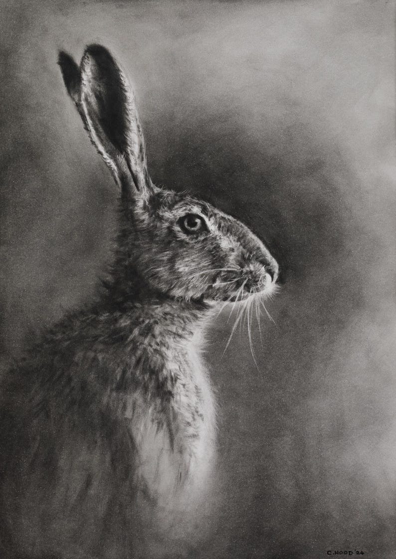 Brown Hare Print | Charcoal Drawing, Wildlife, Rabbits, Black and White ...