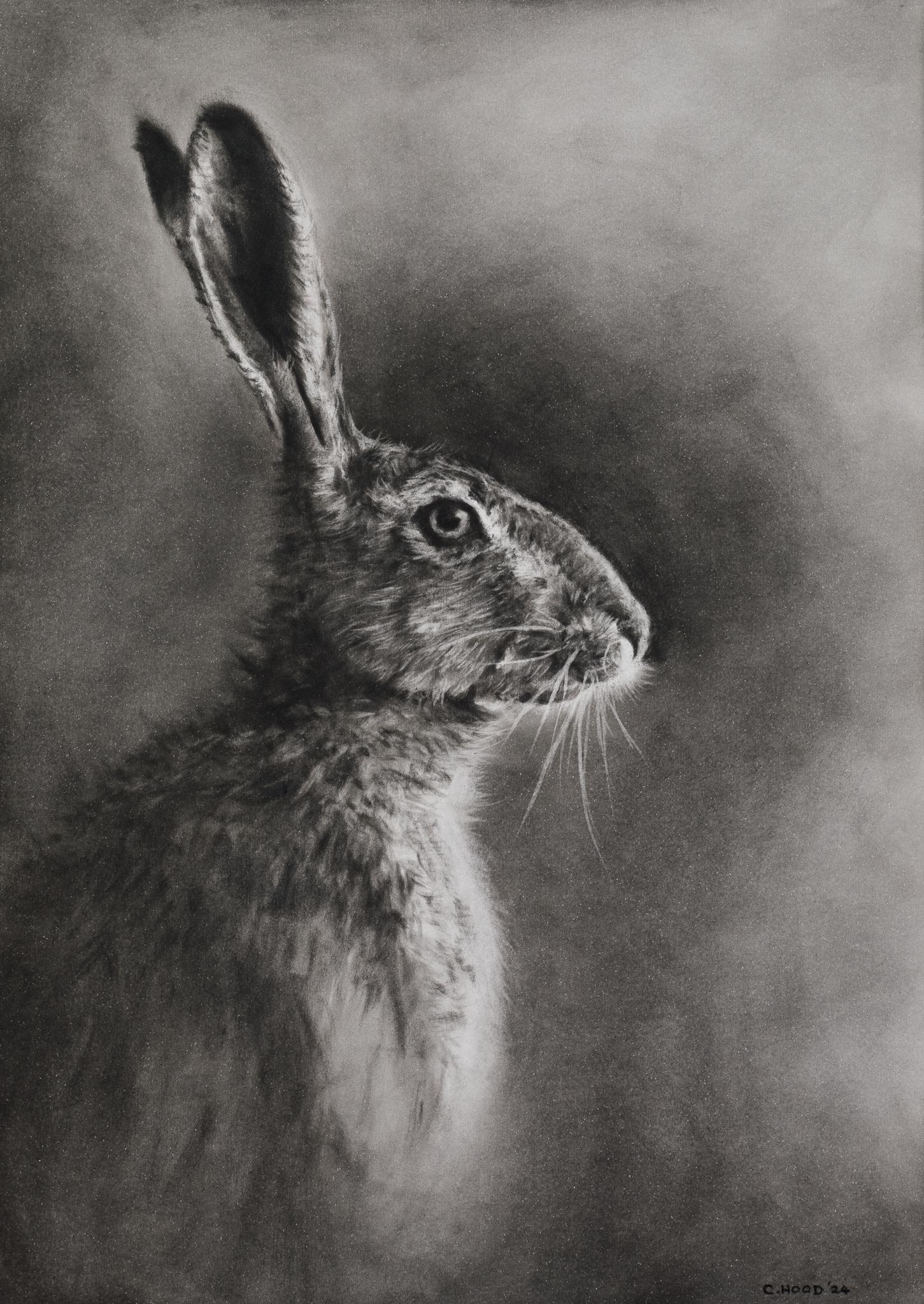 Brown Hare Print | Charcoal Drawing, Wildlife, Rabbits, Black and White ...