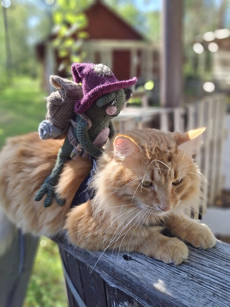 Robert the Frog Wizard & Vlad the Warlock Crochet Pattern Bundle PDF ...