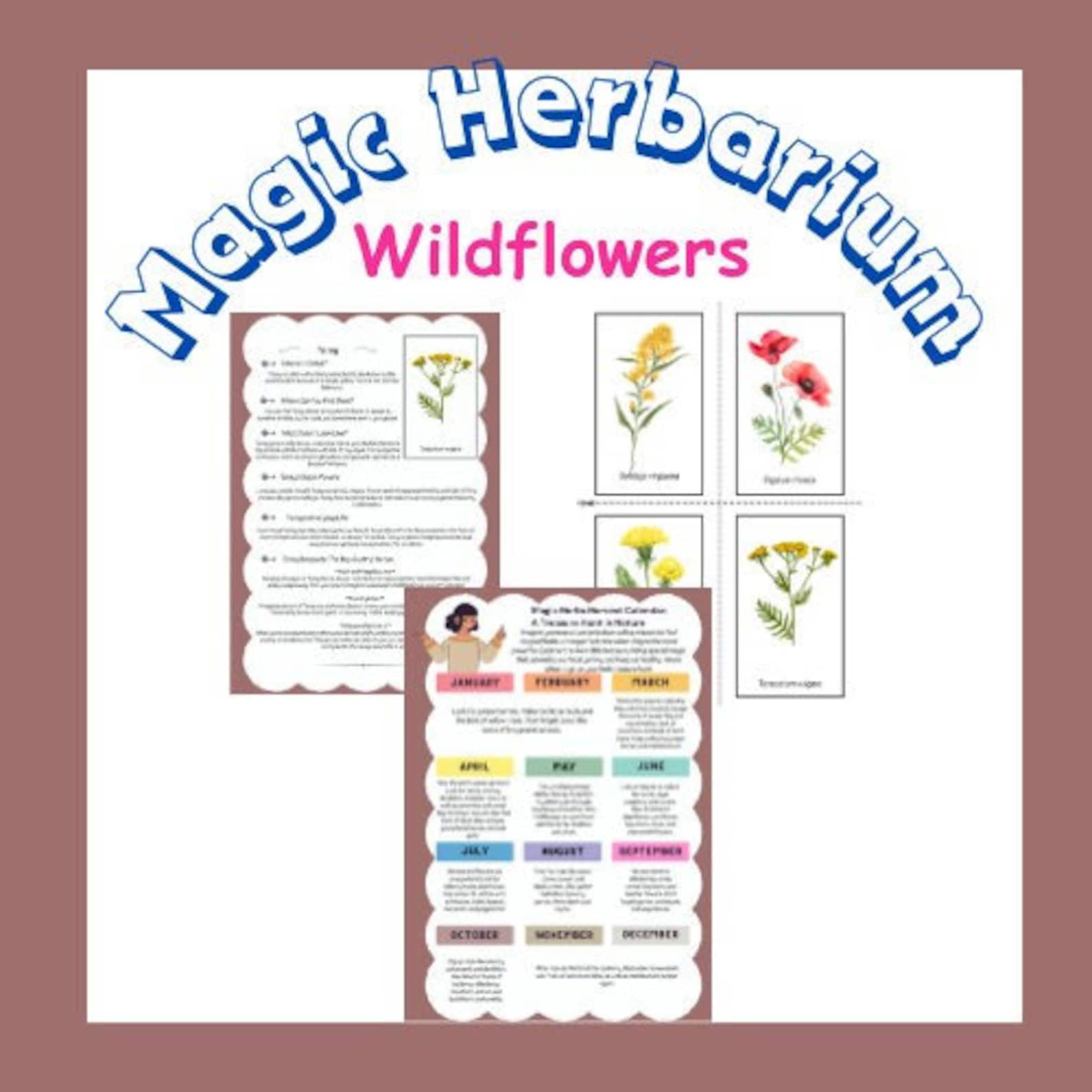 Magical Herbarium: Wildflowers for Children - Educational PDF Guide ...