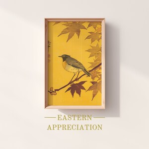 Robin in Japanese Maple Tree, Robin Art Print, Ohara Koson Wall Art ...