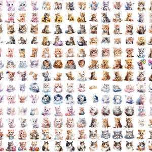 Cute Cats | Pets Clipart | Kitten Clipart | Transparent Png ...