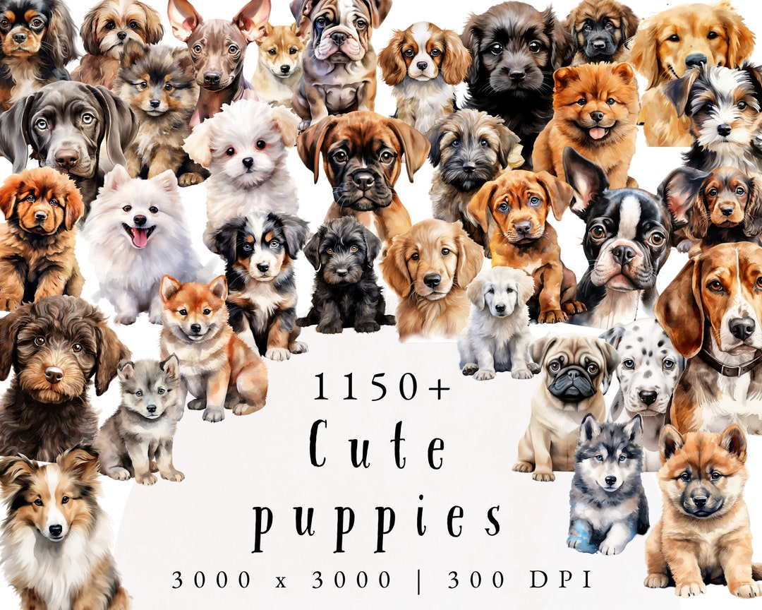 Dog Clipart Bundle | Cute Dog Clipart | Digital Download | Puppy ...
