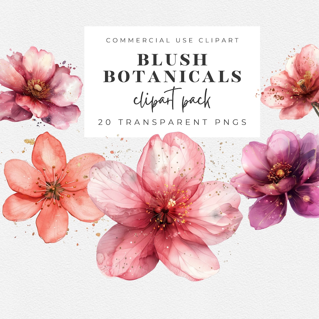 Blush Botanicals Clipart Pack - Elegant Pink Floral Pngs for ...