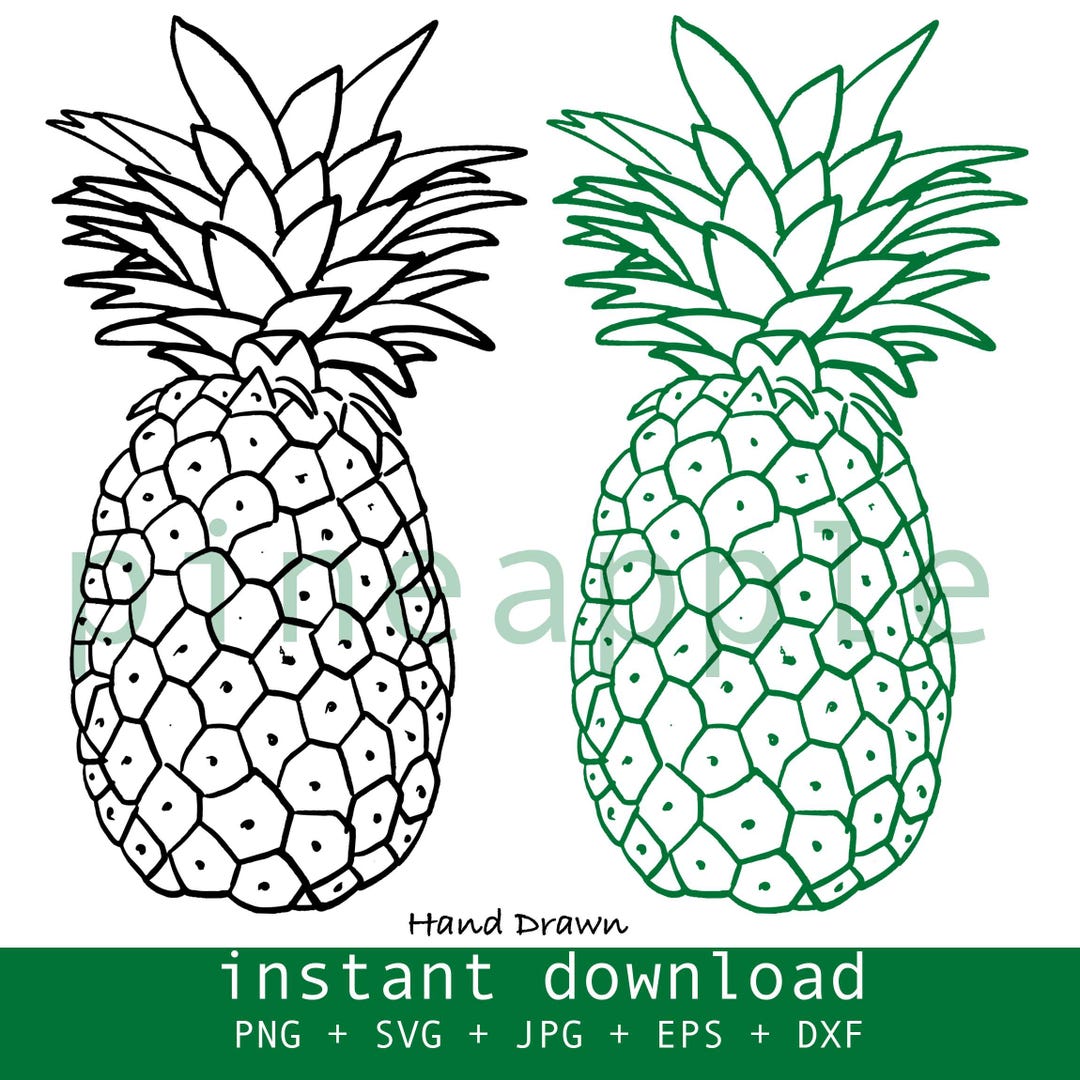 Paquete svg de piña, Svg de piña, Clipart de piña, Png de piña ...