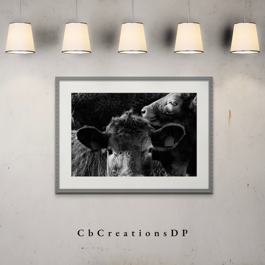 Digital Cow Wall Art, Black and White Cow, Rustic Cow Printable, Rustic ...
