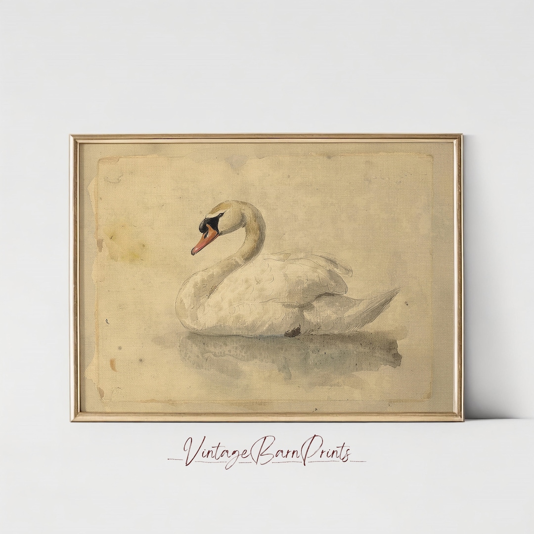Elegant Vintage Swan Print, Printable Swan Artwork, Antique French ...