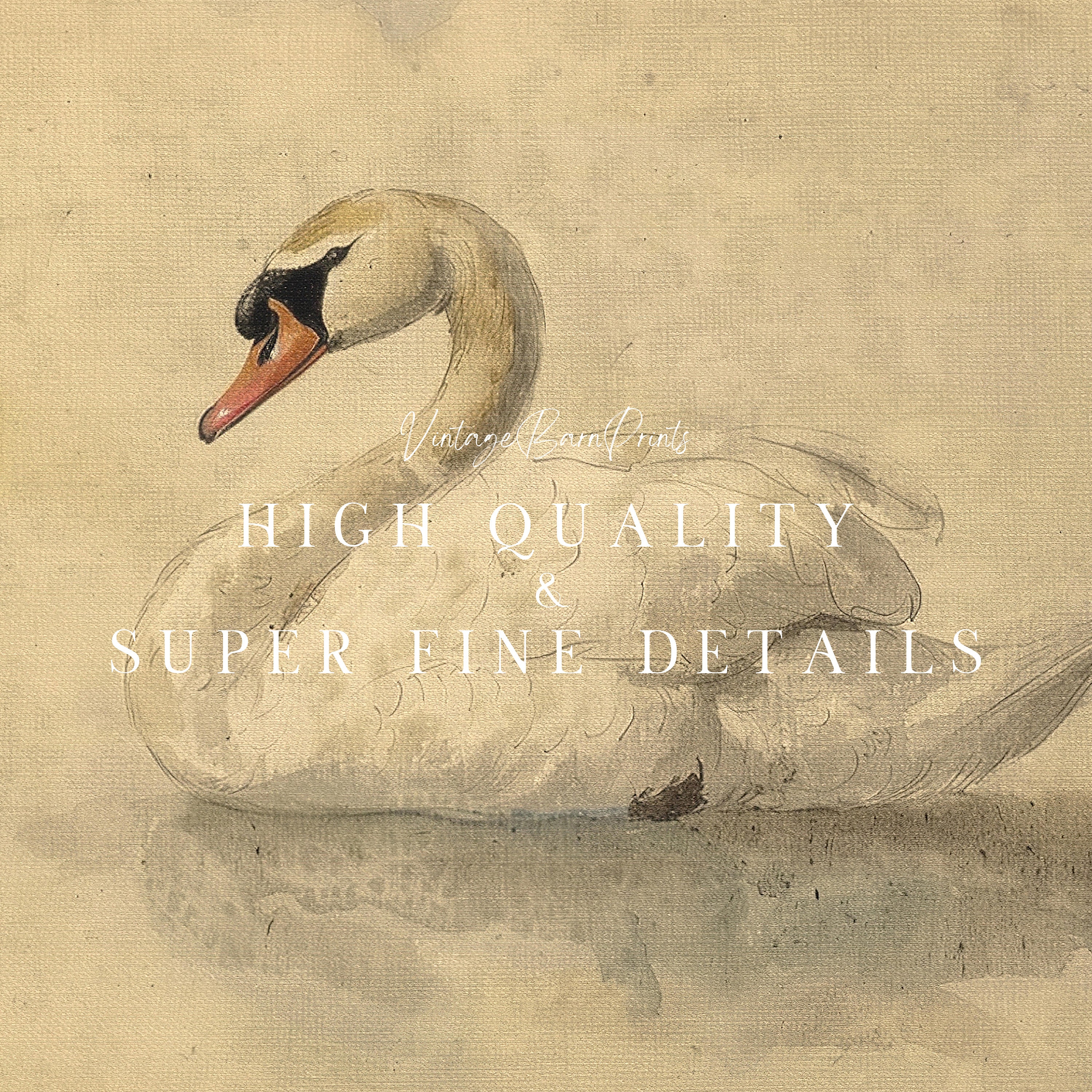 Elegant Vintage Swan Print, Printable Swan Artwork, Antique French ...