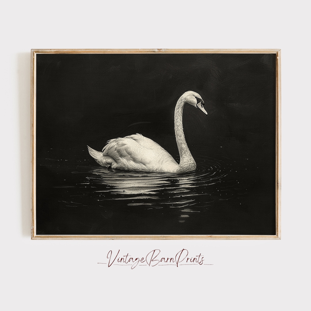 Minimalist Vintage Swan Print, Printable Swan Painting, Antique French ...