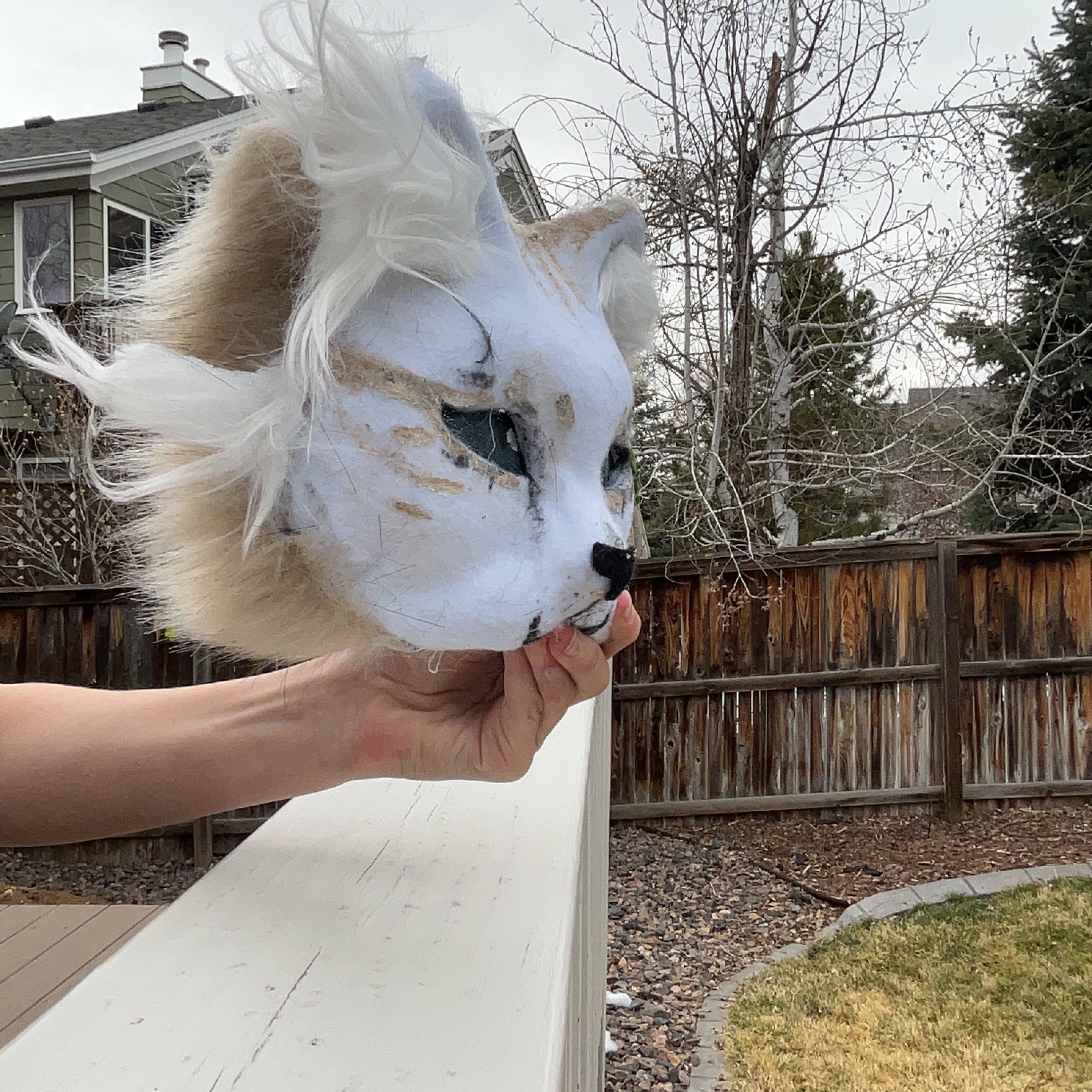 Cute Whiteish Tan Cat Therian Mask - Etsy