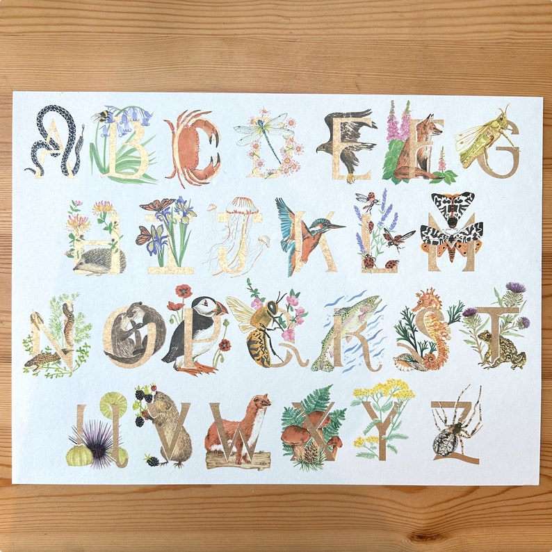British Wildlife Animal Alphabet Poster | Children's Colourful Alphabet ...