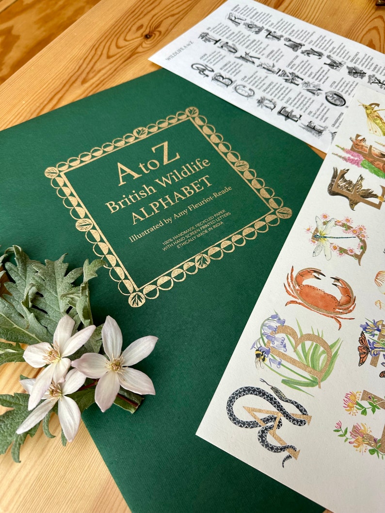 British Wildlife Animal Alphabet Poster | Children's Colourful Alphabet ...