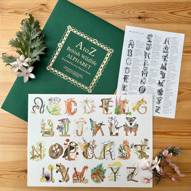 British Wildlife Animal Alphabet Poster | Children's Colourful Alphabet ...