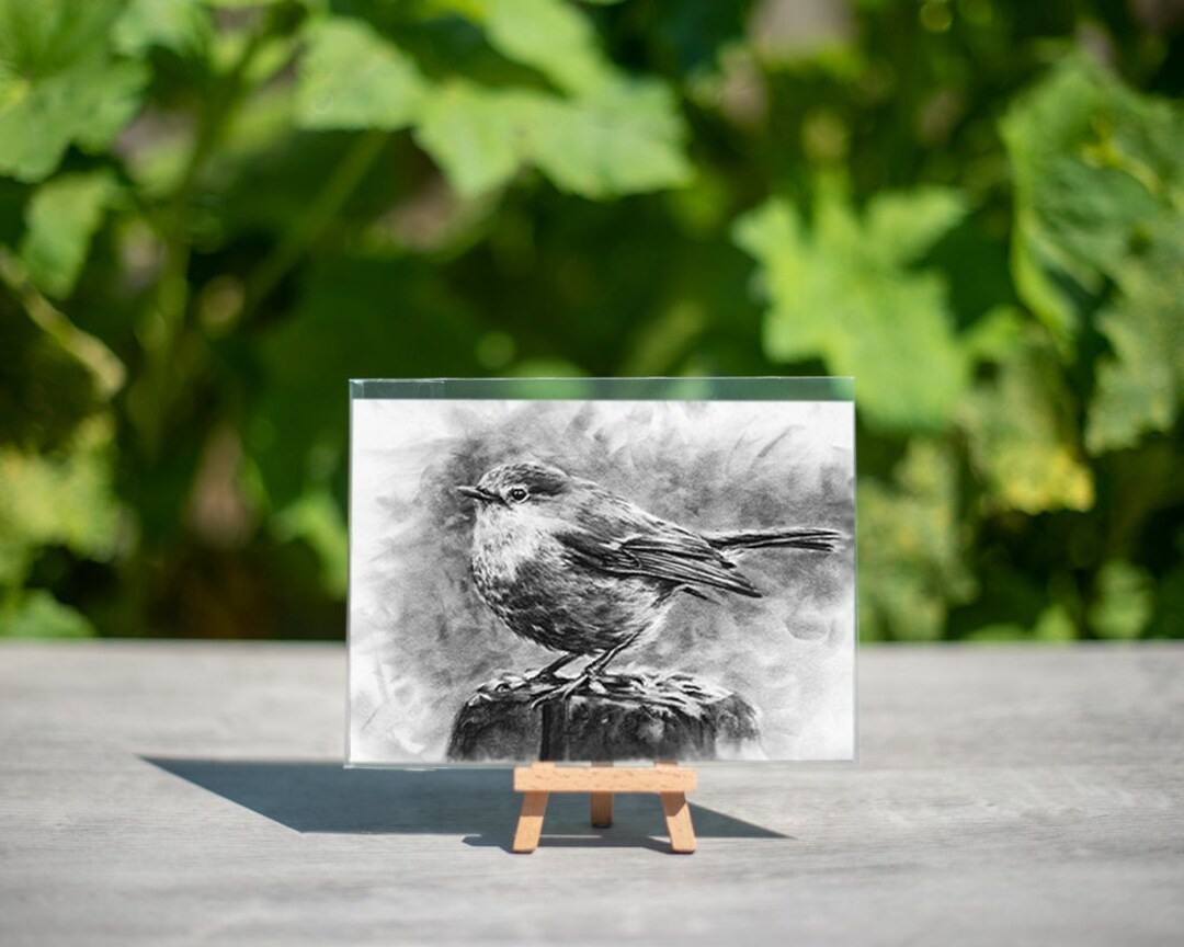 Little Robin Charcoal Drawing Giclée Print Small Artwork and Unframed ...