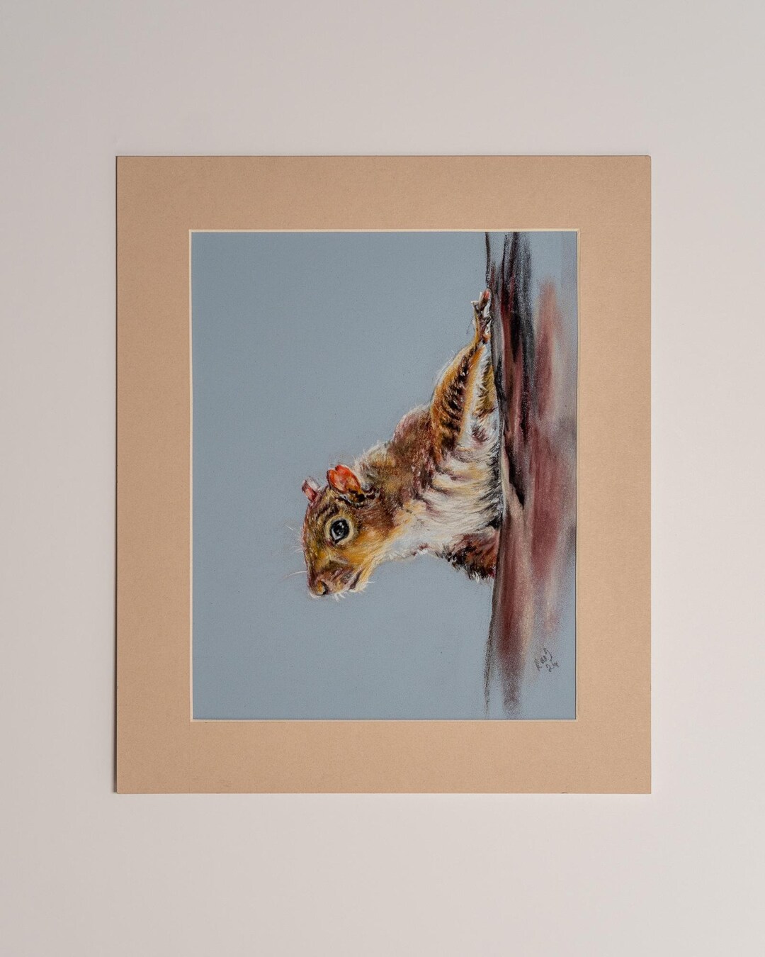 Original Red Squirrel Pastel Art Drawing of British Wildlife Animal ...