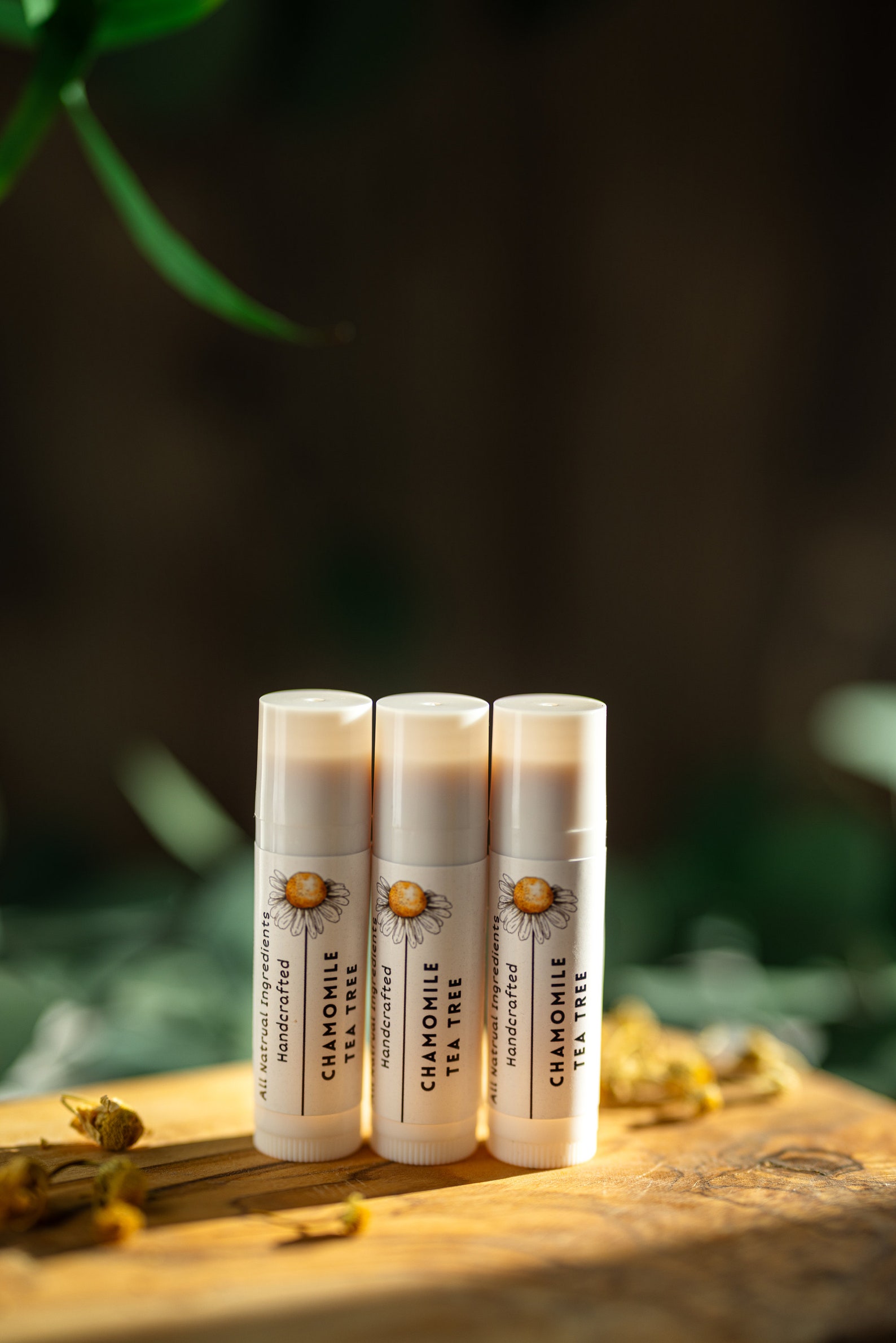 Chamomile&tea Tree Lip Balm Natural Lip Balm, Chapstick, Lip Gloss ...