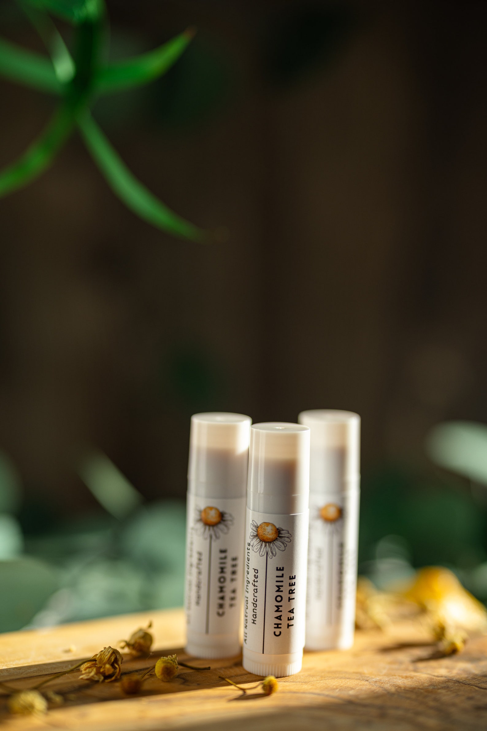 Chamomile&tea Tree Lip Balm Natural Lip Balm, Chapstick, Lip Gloss ...