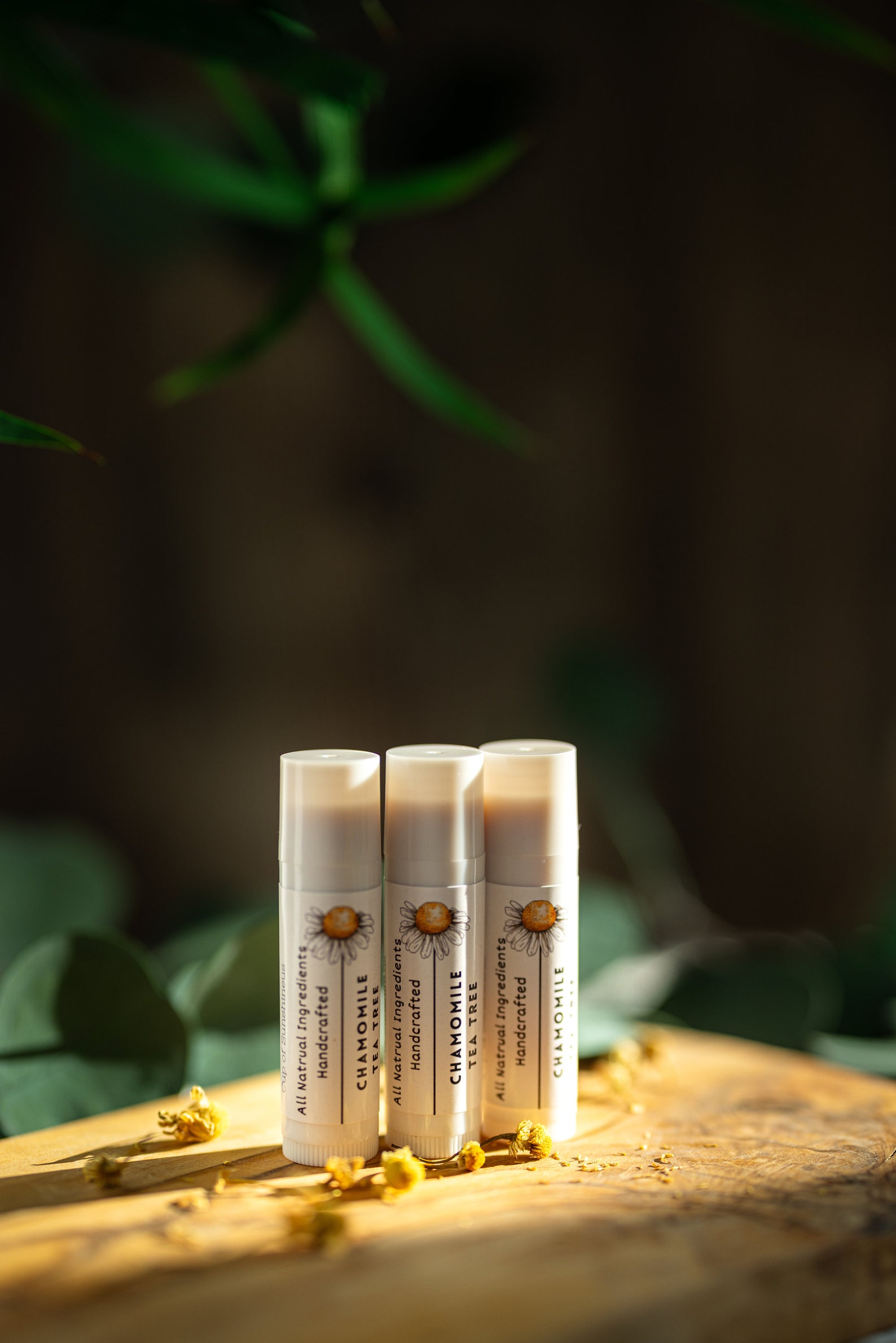 Chamomile&tea Tree Lip Balm Natural Lip Balm, Chapstick, Lip Gloss ...
