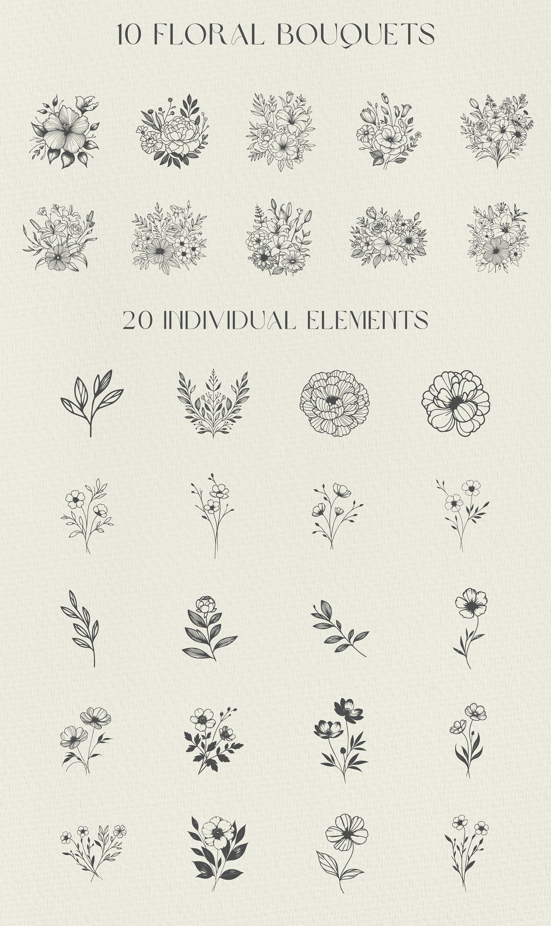 Floral Vector Graphics , Fine Line Botanical Line Art SVG, Vector ...