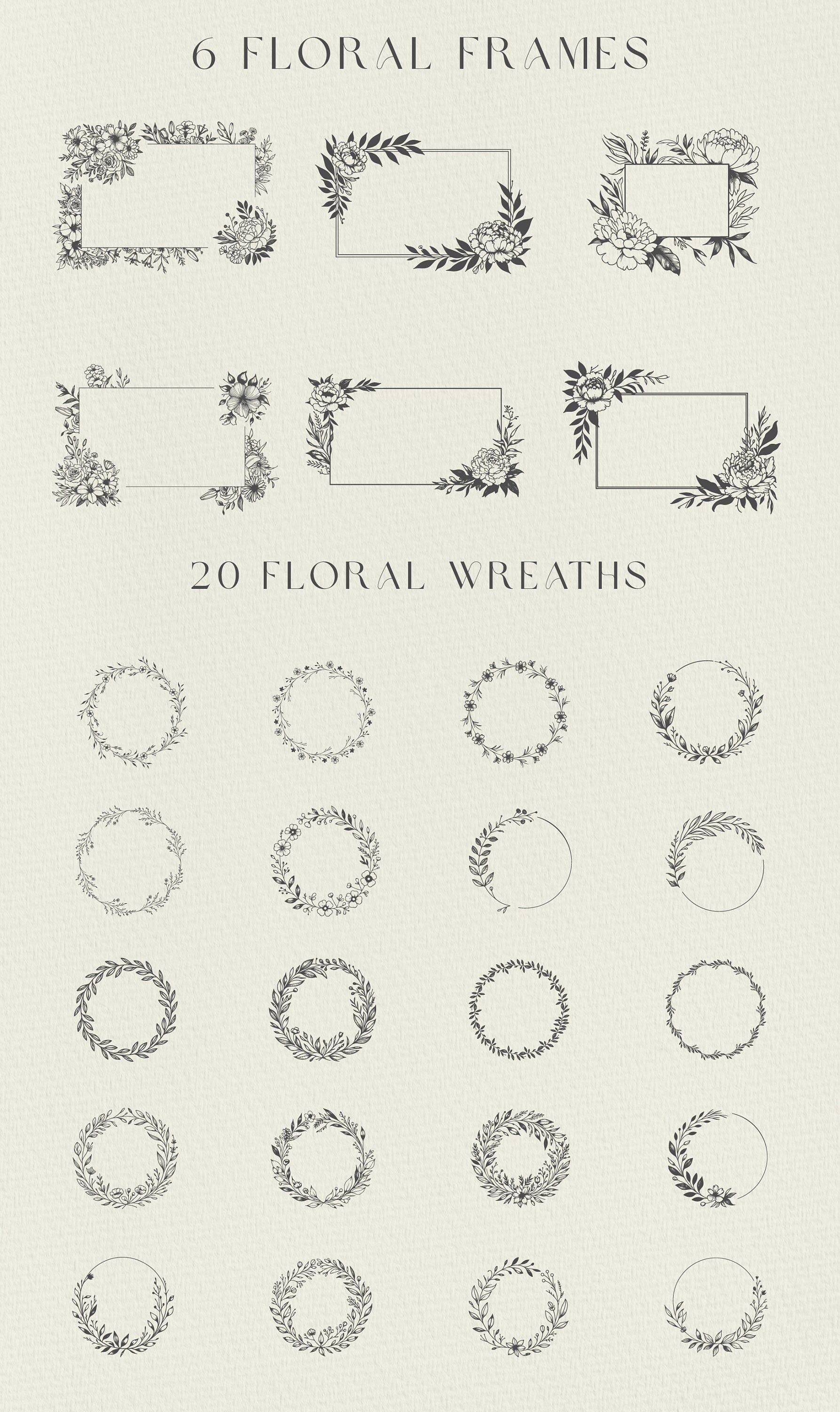 Floral Vector Graphics , Fine Line Botanical Line Art SVG, Vector ...