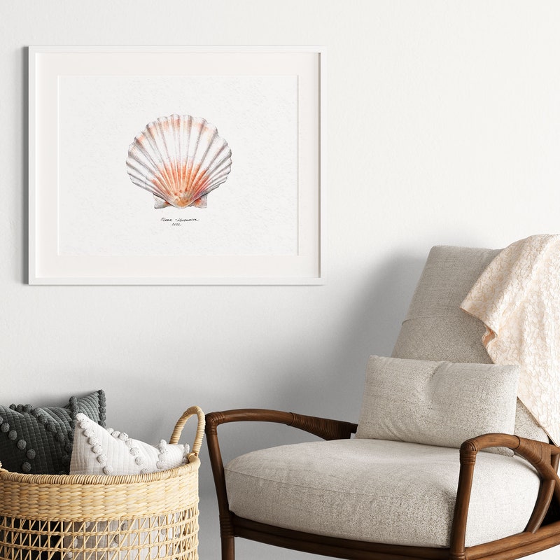 Shell Art Print - Etsy