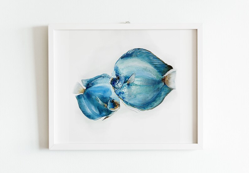 Discus Fish, Watercolor Fish Art Prints, Blue Fish Painting, Marine ...