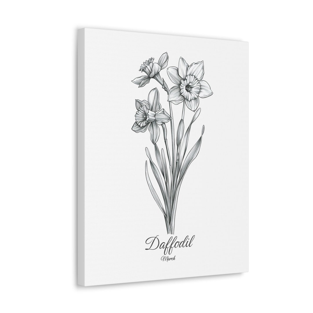 Birth Flower for March. Daffodil Birth Flower. Canvas Gallery Print - Etsy