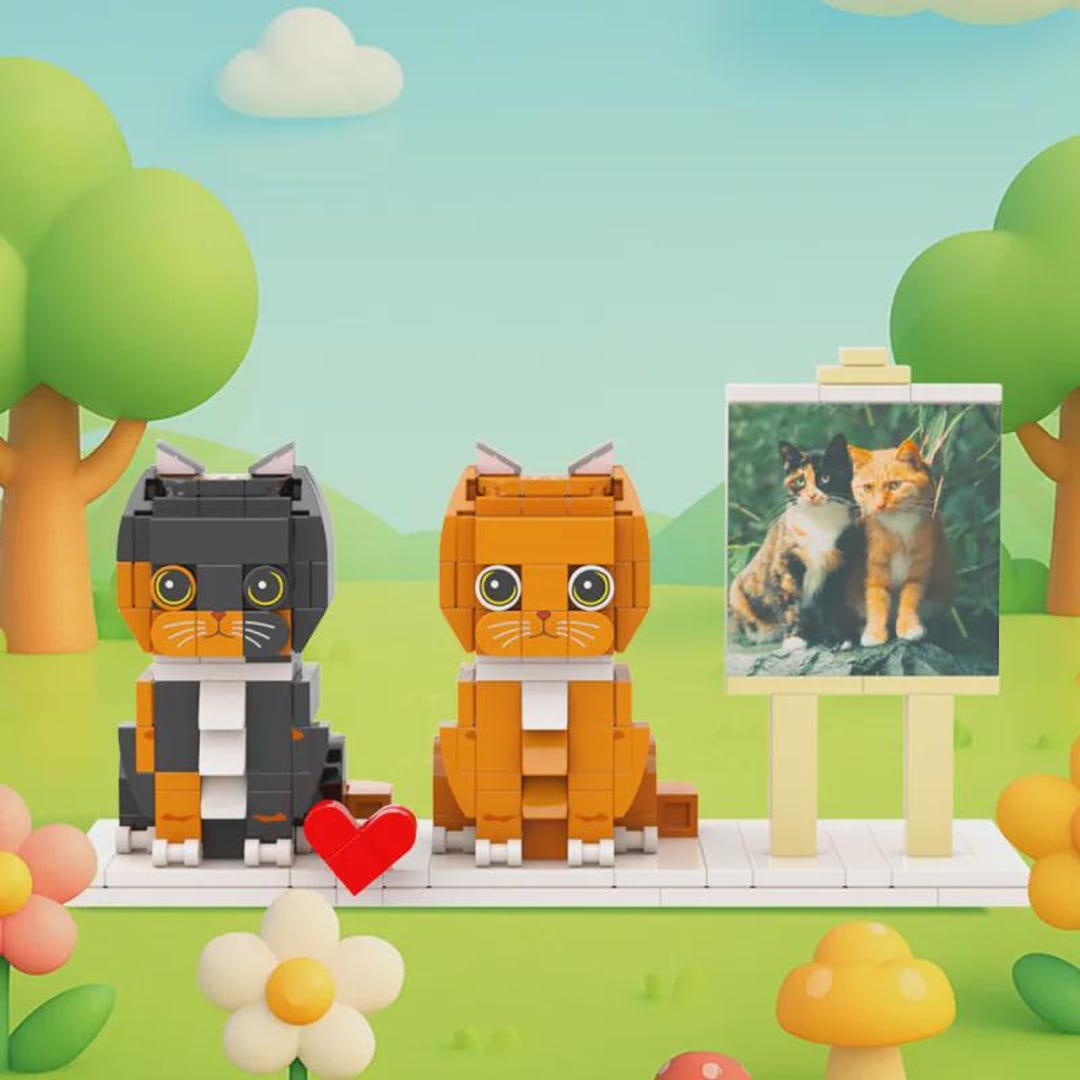 Custom Brick Cat Figures With Frame, Personalized Full Body Block Cats ...
