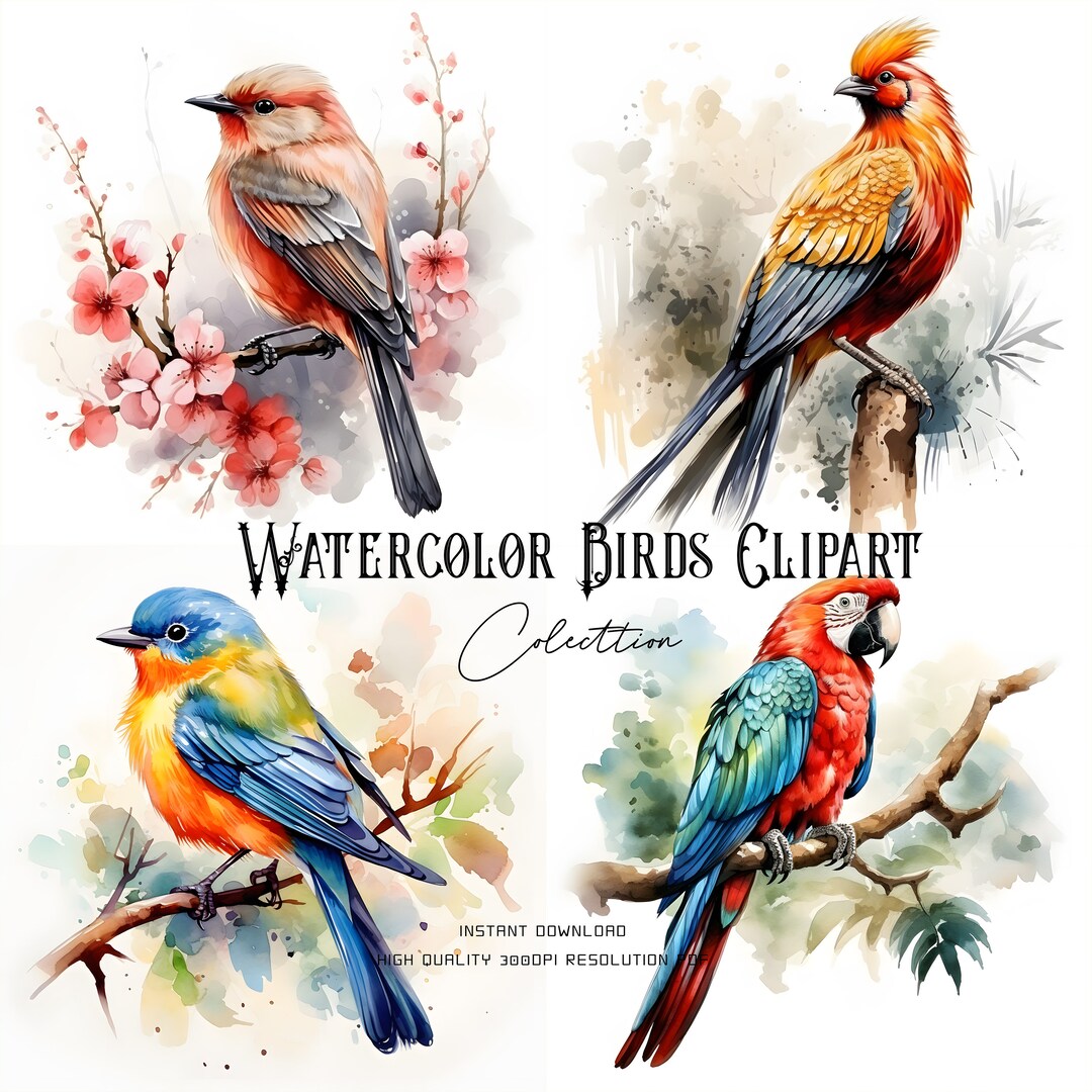 10 Watercolor Birds Clipart Bundle, Spring Birds Clipart, Birds Bundle ...