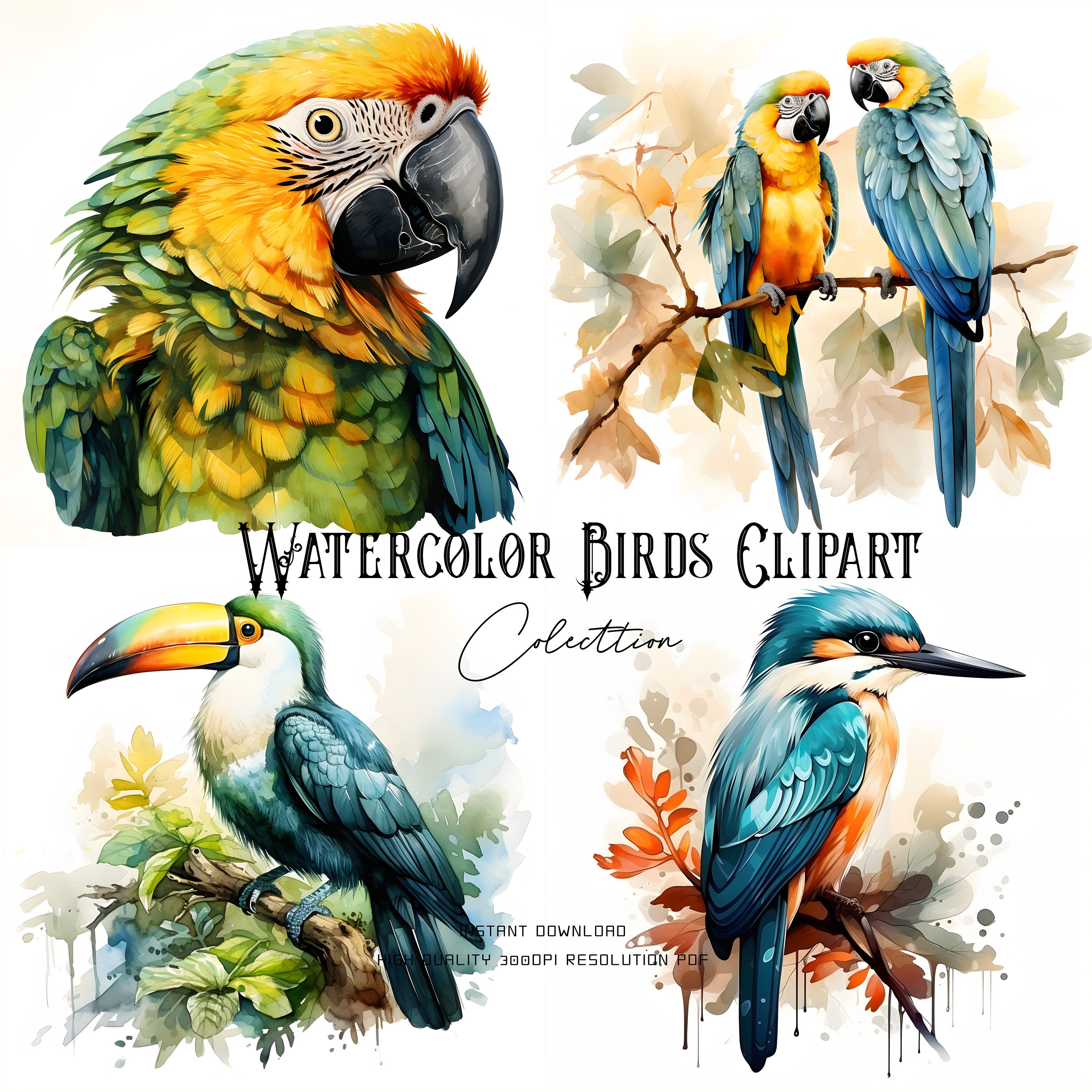 4 Watercolor Birds Clipart Bundle, Spring Birds Clipart, Birds Bundle ...