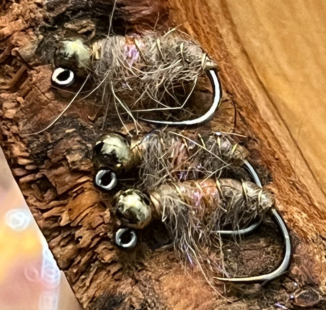 UV Hot Belly Scud Euro Nymphing Tungsten Jig Fly (3 Pack) - Etsy