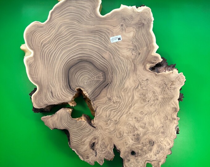 Wild Olive Burl Slab: Live Edge Wood Slice (57x40 Cm) - Etsy