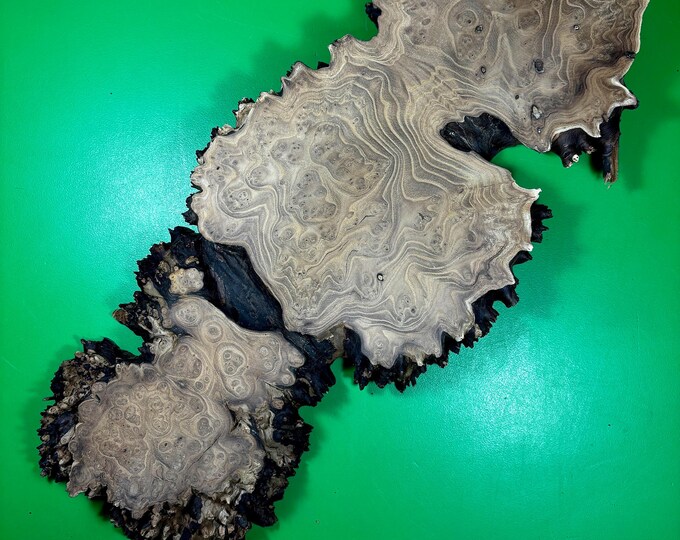 Olive Board. Wood Burl. Live Edge Slab. Epoxy Resin. Round Burl. Olive ...